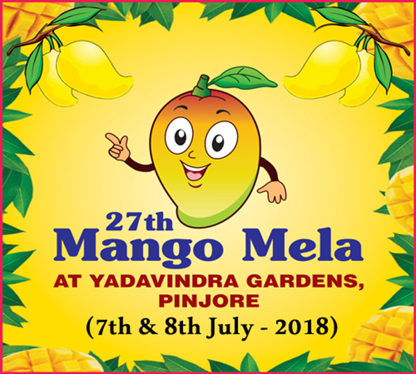 The 27th Mango Mela by Haryana Tourism at Yadaindra Gardens, Pinjore on ...